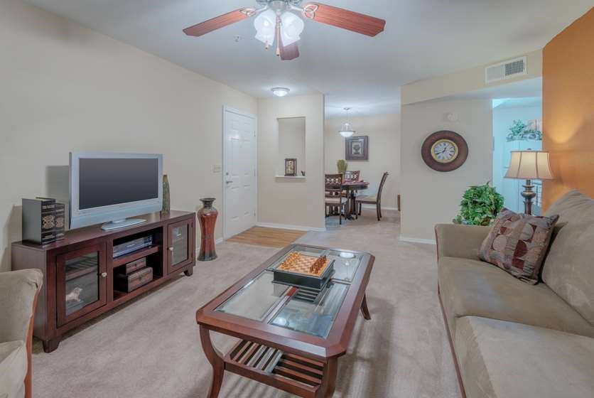 The Paddock Club Apartments Gainesville - Swamp Rentals